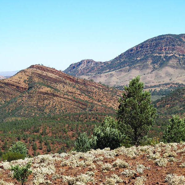 Walk Selector | Find a Heysen Trail section to hike