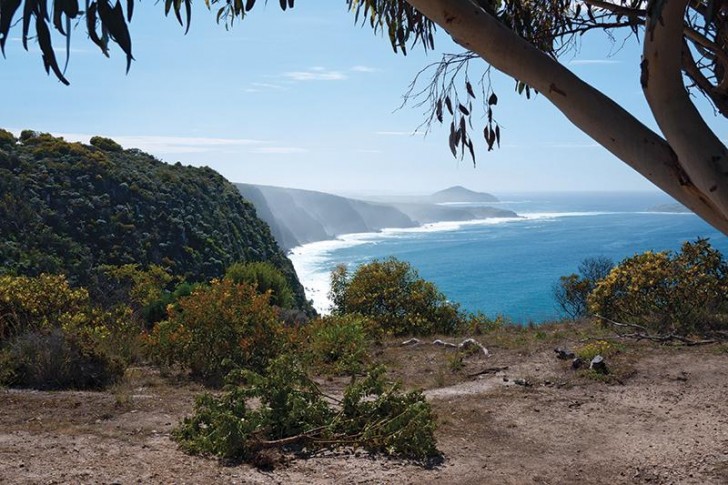 Section 5: Waitpinga to Tugwell Road | The Heysen Trail