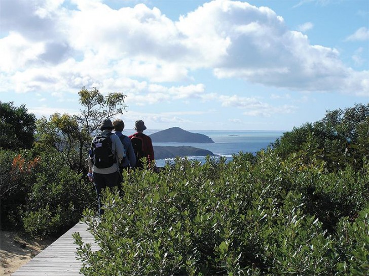 Section 5: Waitpinga to Tugwell Road | The Heysen Trail