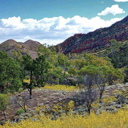 Walk Selector | Find a Heysen Trail section to hike